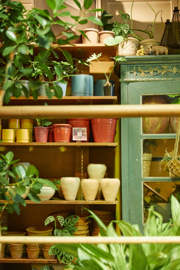 自然と吸い込まれる、珍奇の扉も開く街の花屋、梅ヶ丘『HANACHO』。 | POPEYE Web | ポパイウェブ