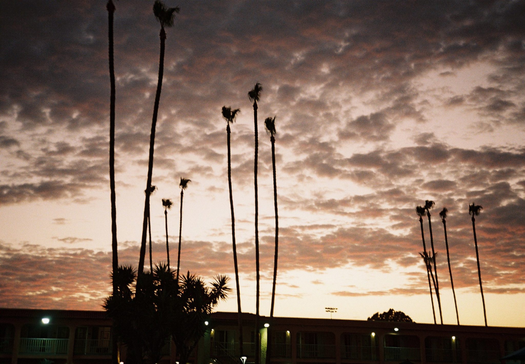 1】ON THE ROADERS 〜LA to Joshua Tree〜／執筆: 〈Bong Sadhu〉Taikou Kaneda ...